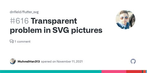 Transparent Problem In SVG Pictures Issue 616 Dnfield Flutter Svg
