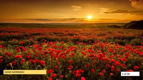 Regenerative Endodontics And Revascularization Pptx