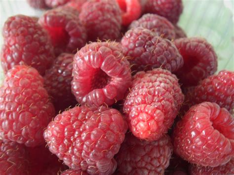 Все про малину Добрий вечір Facebook