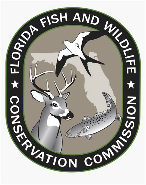 Florida Fish And Wildlife Conservation Commission Hd Png Download