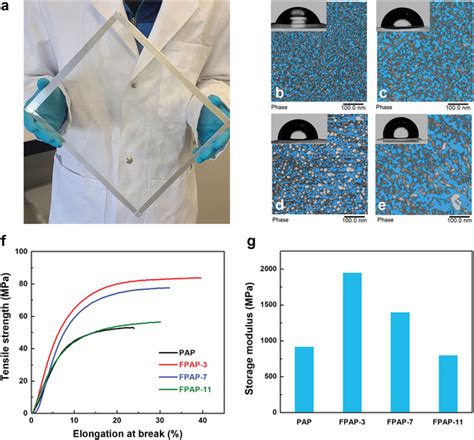 a Photograph of a transparent FPAP3 AEM with a thickness of 20 µm Download Scientific