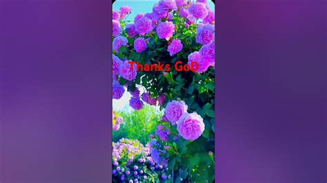 Shortfeedfeedshorts Viralvideo Youtube