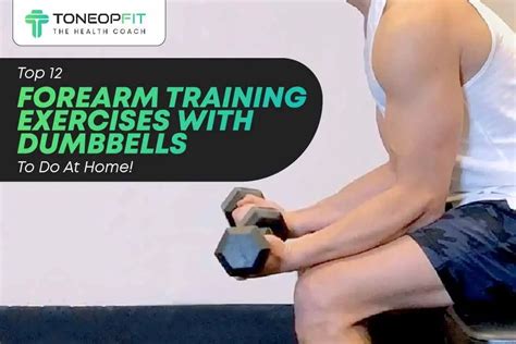 Top 12 Dumbbell Forearm Training Exercises To Do At Home By Savinayfitness Sep 2024 Medium