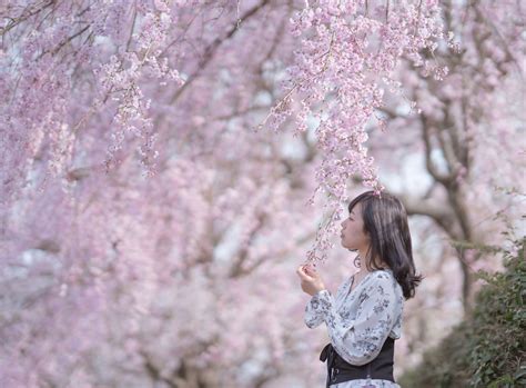 ポートレートロケ地紹介長崎②桜スポット見頃4月初旬 デジカメブログ