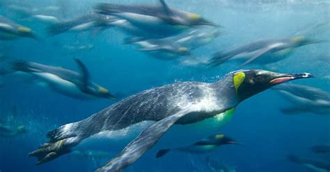 भौगोलिक ग्रन्थ एवं उनके लेख Geographical Texts And Their Articles