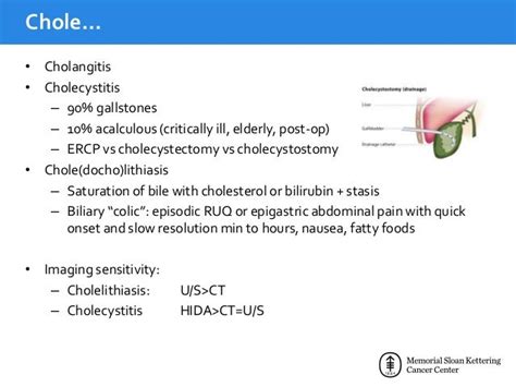 Hepatology 101