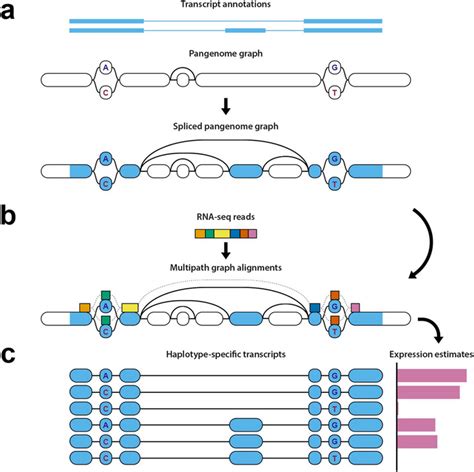Researchers Produce First Ever Toolkit For Rn Eurekalert