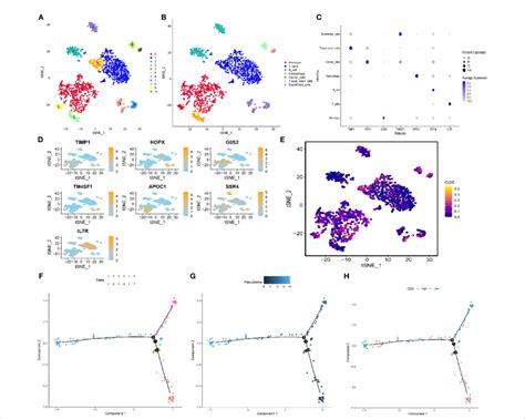 Exploration Of Cds In Luad Scrna Seq Data A T Sne Plot Colored By 11 Download Scientific