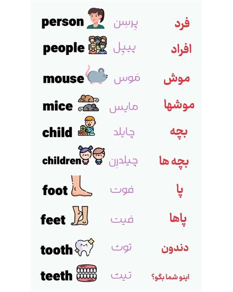 مفرد و جمع در زبان انگلیسی آموزشزبان آموزشزبانانگلیسی زبان