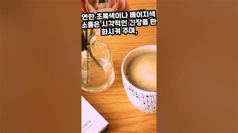 복받을 터ㅣ운세ㅣ풍수 직장 내 스트레스를 줄이는 풍수 인테리어 풍수 운명이야기 운세 Youtube