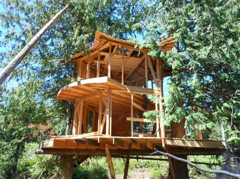 Sunray Kelleys New Treehouse The Shelter Blog