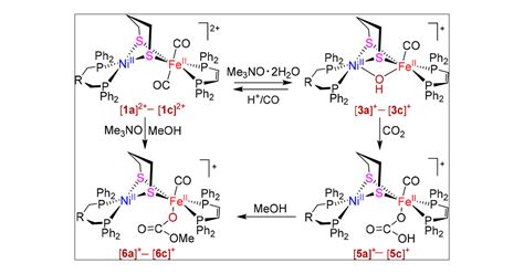 Synthesis Characterization And Reactions Of Functionalized Nickel Iron Dithiolates Related To