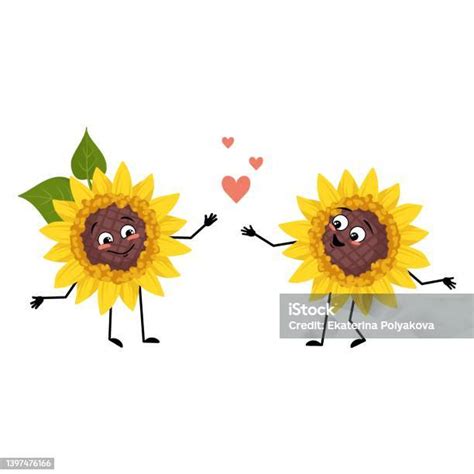 사랑의 감정 미소 얼굴 팔과 다리가있는 해바라기 캐릭터 행복한 표정을 가진 식물 사람 노란 태양 꽃 이모티콘 벡터 플랫 일러스트 레이 션 해바라기에 대한 스톡 벡터 아트 및