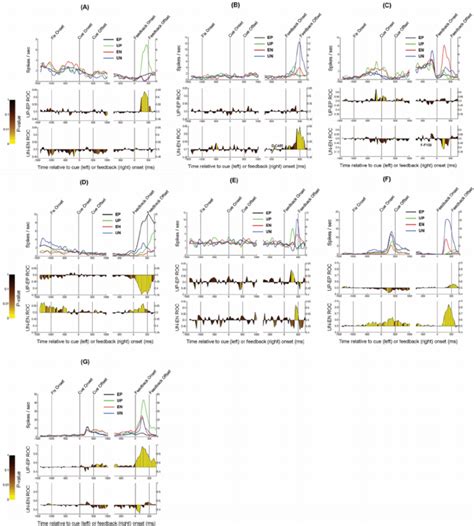 Single Neuron Examples Download Scientific Diagram
