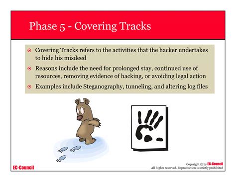 Ceh V5 Module 01 Introduction To Ethical Hacking Pdf Information