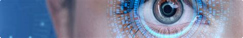Data Types In Machine Learning What Data Can Ml Use Trainingdatapro