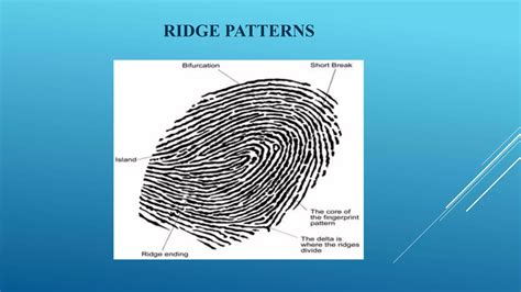 Finger Print Recognition Technique Using Arduino Uno Pptx