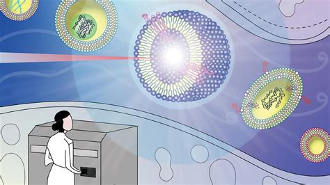 The Danelon Lab Proposes New Methods To Help Construct Synthetic Cells Through Evolution