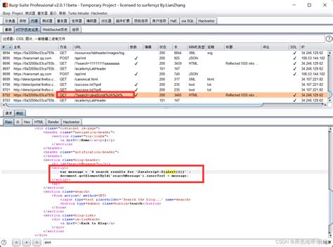 【bp靶场portswigger 客户端11】跨站点脚本xss 20个实验（上） 阿里云开发者社区