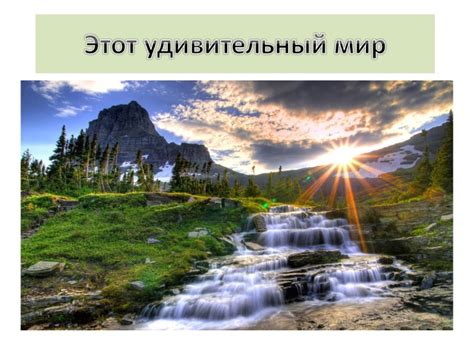 Презентация к уроку окружающего мира 1 класс по программе Школа 21 века «Этот удивительный мир