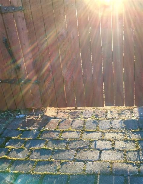 Garden Gate On Tumblr