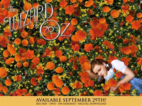 Poppies Will Get Them To Sleep Wizard Of Oz Wizard Of Oz Movie The Wonderful Wizard Of Oz