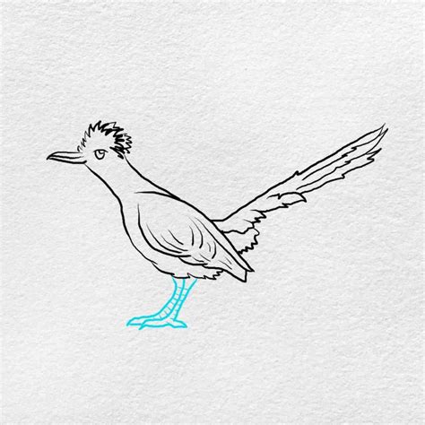 How To Draw A Roadrunner Helloartsy