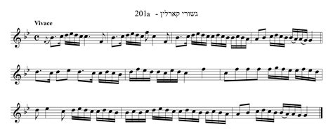 1510 12161510 נגון לכת קרליני מזרחי