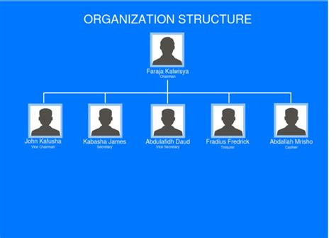 Organizational Structure Pdf