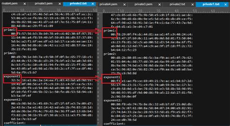 openssl 1024bit rsa算法 公私钥获取和处理（一） openssl rsa csdn博客