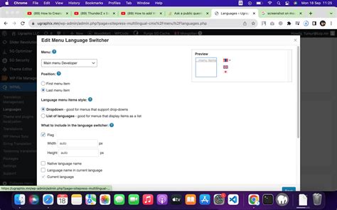 Wordpress Wpml I Added New Language In Language Switcher But It Doesnt Show In The Switcher