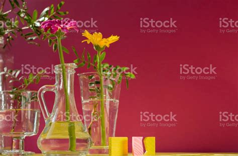 햇빛에 유리 꽃병에서 아름다운 그림자 분홍색 배경에 유리 병에 거베라 가혹한 빛과 그림자가 있는 현대적인 인테리어의 꽃 미니멀리즘 컨셉 공간을 복사합니다 0명에 대한 스톡