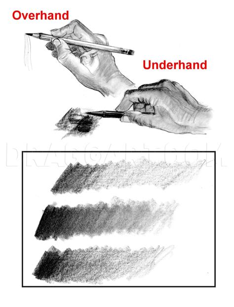 How To Sketch A Cat Drawing Step By Step By Catlucker DragoArt