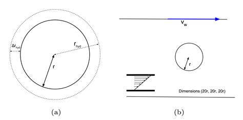 Revisiting The Use Of The Immersed Boundary Lattice Boltzmann Method For Simulations Of
