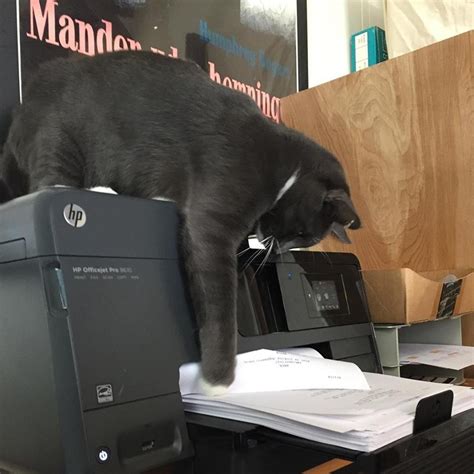 Media From The Heart By Ruth Hill Interview With Writers James Iver