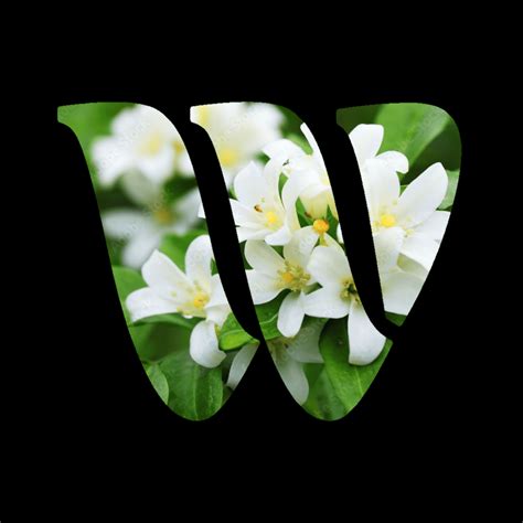 The Wisp 10ml The Wisp