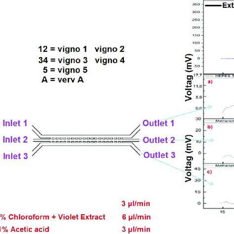Hplc Analysis Results For Violet Extract And The Sample Collected From Download Scientific