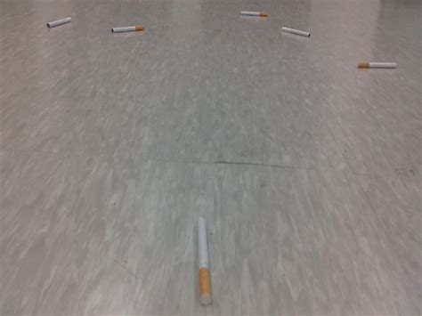 Butts Object Detection Dataset V2 2022 03 07 8 47pm By Il2