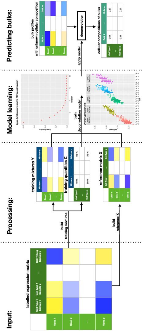 workflow of a digital tissue deconvolution dtd analysis with download scientific diagram