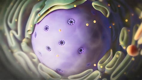 The Genetic Structure Of 3d Animated Dna Scientific Scientist Health Photo Background And