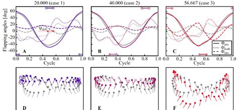The Wingbeat Kinematics Of A Flapping Wing With Colored Or Without