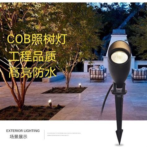 Cob射燈戶外照樹燈室外防水led庭院草坪燈花園插地燈觀景燈投光燈惠柰雅旗艦店 蝦皮購物