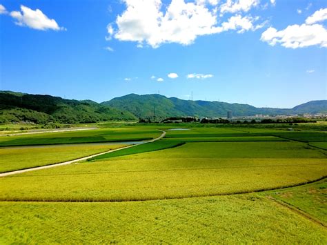 亀岡の田園風景 by skg ID8028384 写真共有サイト PHOTOHITO