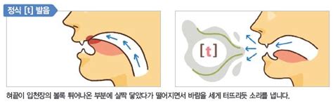 영어 발음 T법칙1 토스트의 ‘ㅌ은 T 발음과 다르다 이지톡 단행본 블로그