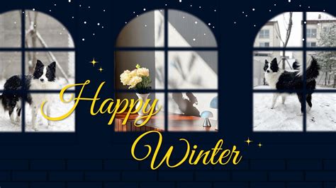 새집에서 맞이한 첫눈 첫겨울 일상 Vlog Youtube