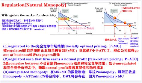 微观经济学：monopoly Market垄断市场 知乎