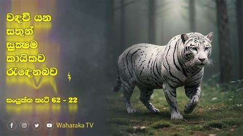 වඳවී යන සතුන් සුක්‍ෂම කායිකව රැඳෙනබව Youtube