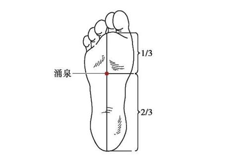 湧泉穴作用堪比六味地黃丸的穴位滋陰補腎治療腎陰虛的要穴 每日頭條