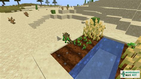 Farmland How To Craft Farmland In Minecraft Minecraft Wiki