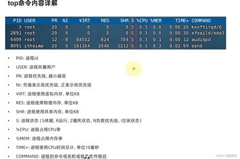 linux系统实操 sat是什么指令 csdn博客